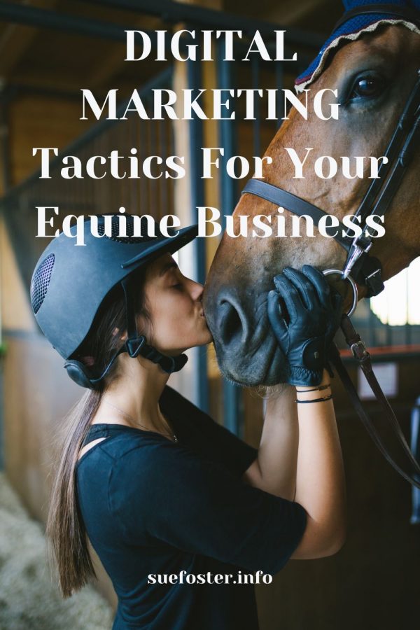 Digital Marketing Tactics For Your Equine Business | Sue Foster ...